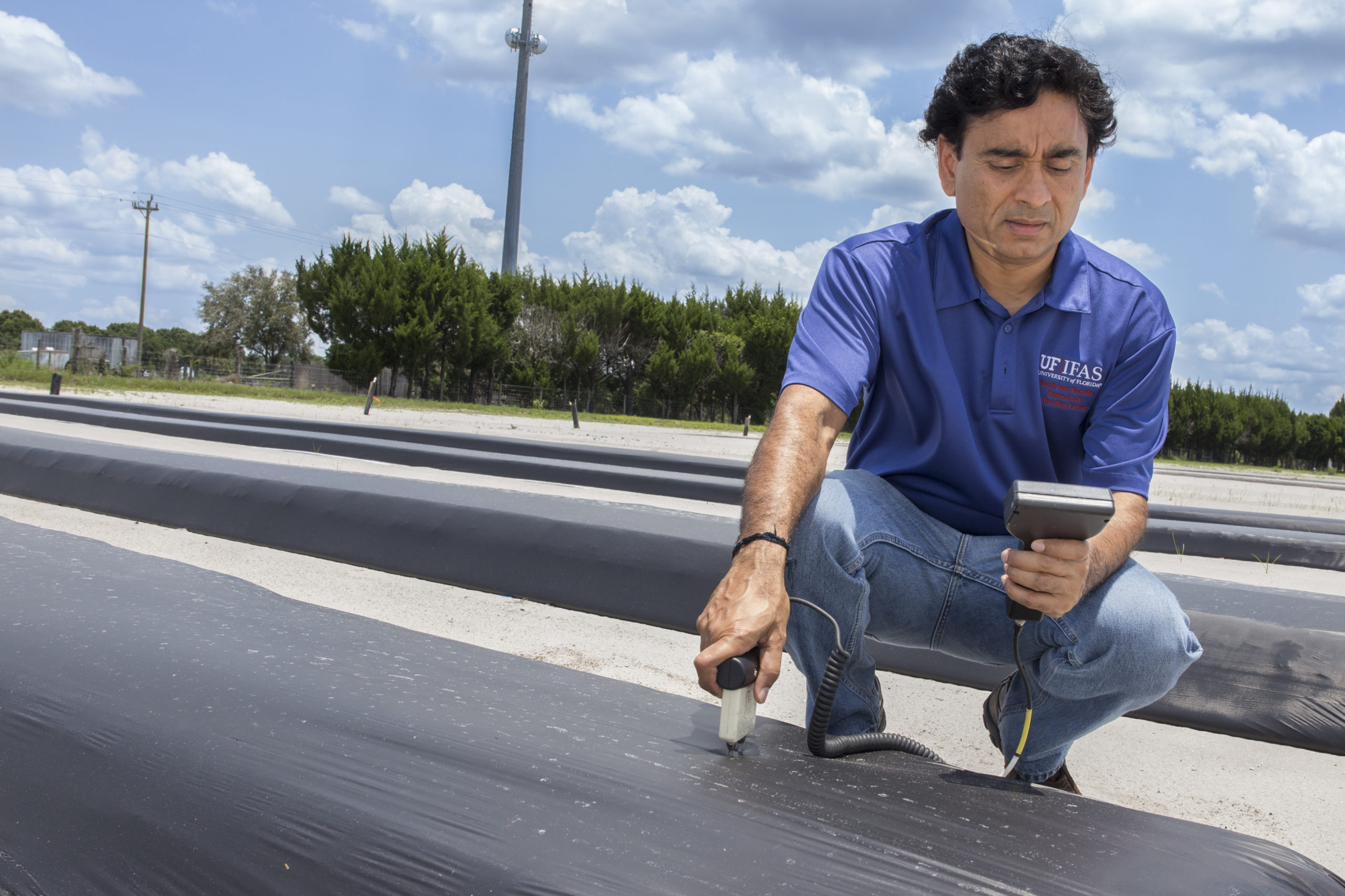Experimental Crop Bed Design Survived Hurricane Irma - Specialty Crop ...