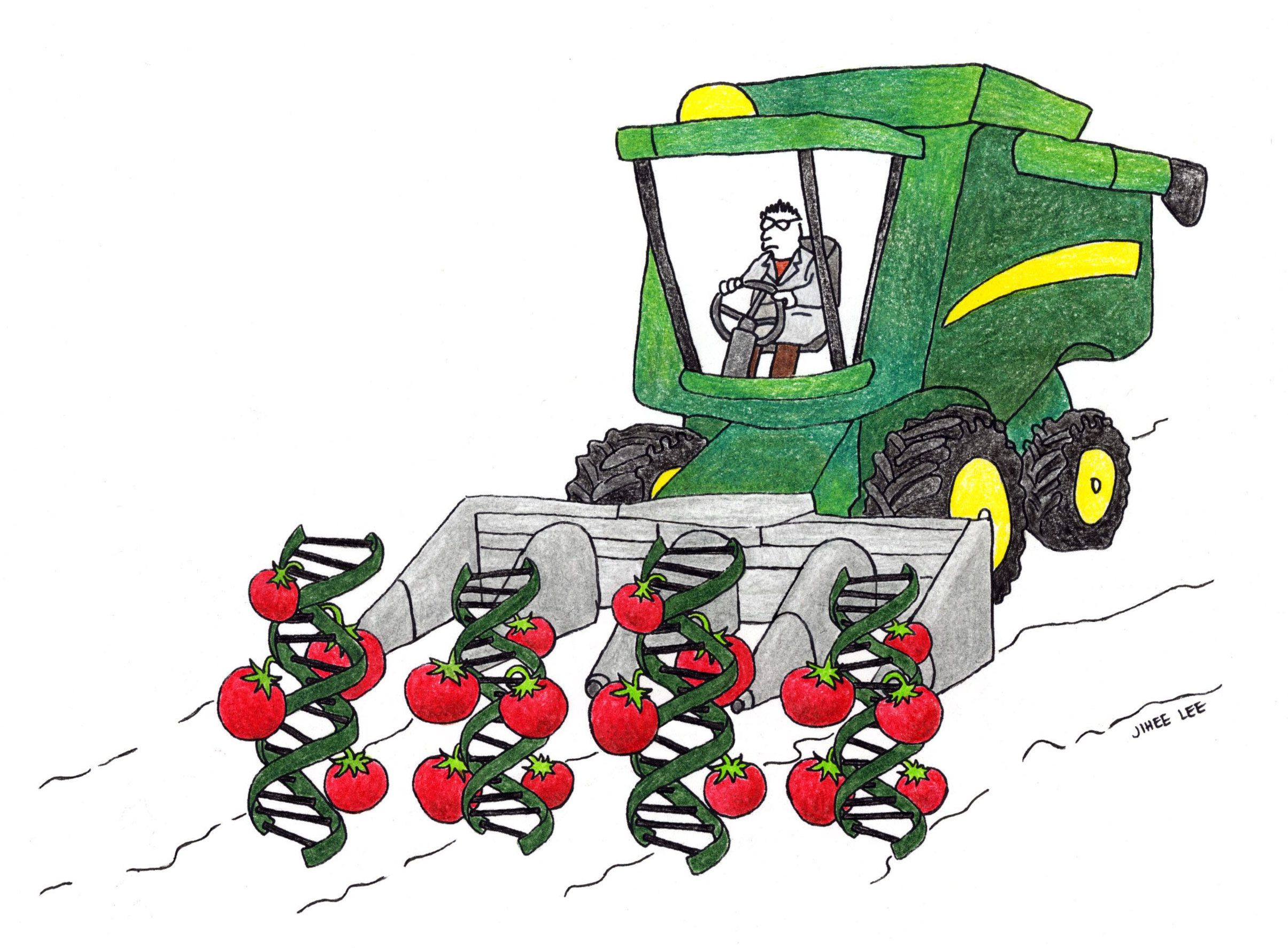 DNA Sequencing Technology for Breeding Better Crops - Specialty Crop Grower