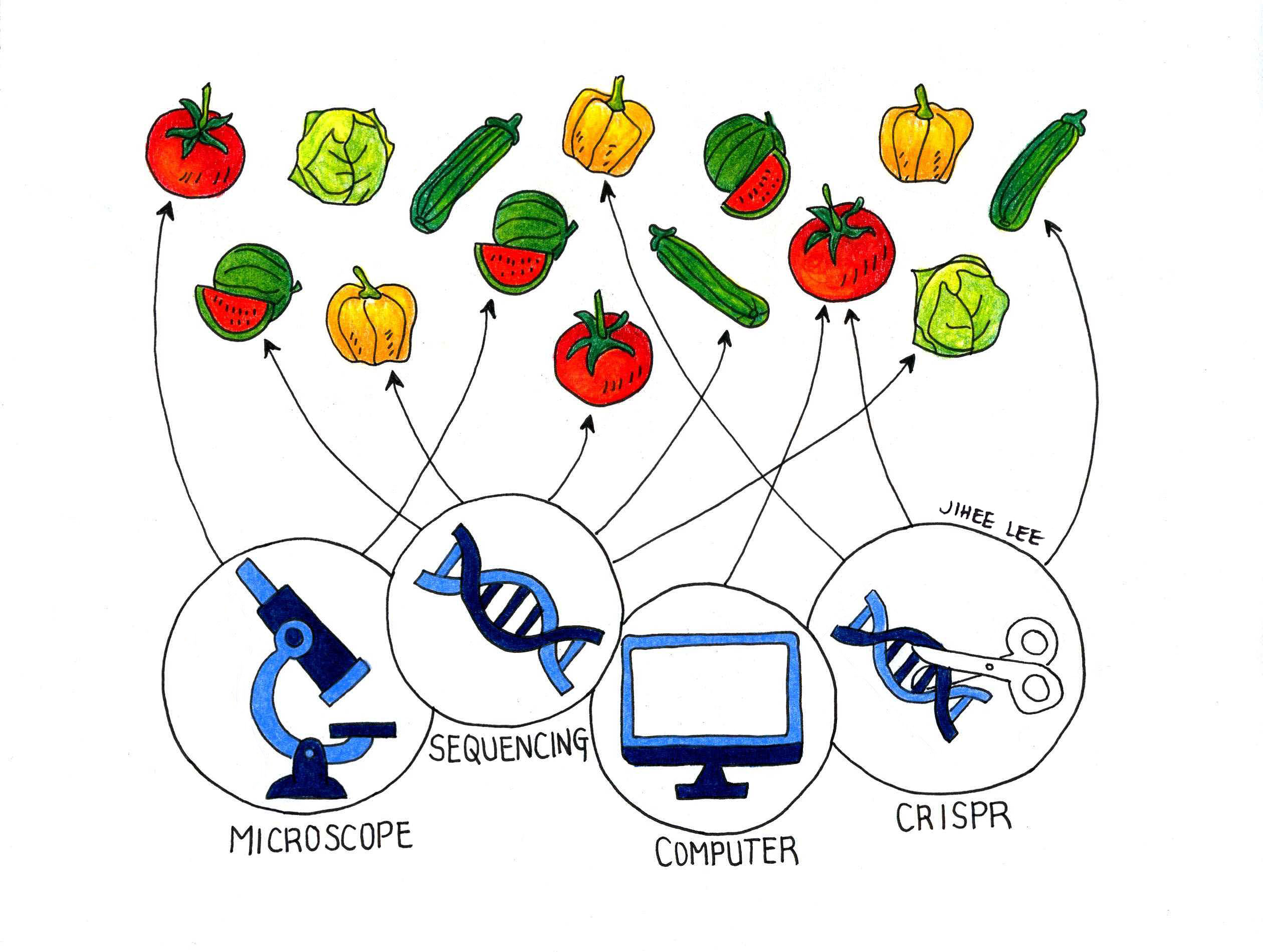 Genomic Technologies for Breeding Better Crops - Specialty Crop Grower