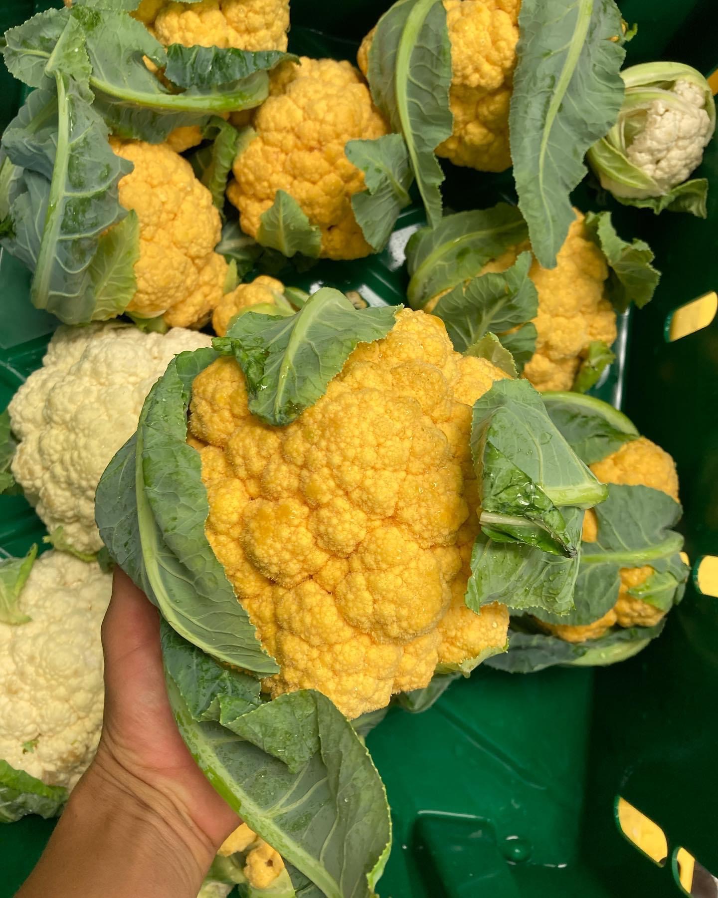 How to Build a Strong Brand - Specialty Crop Grower