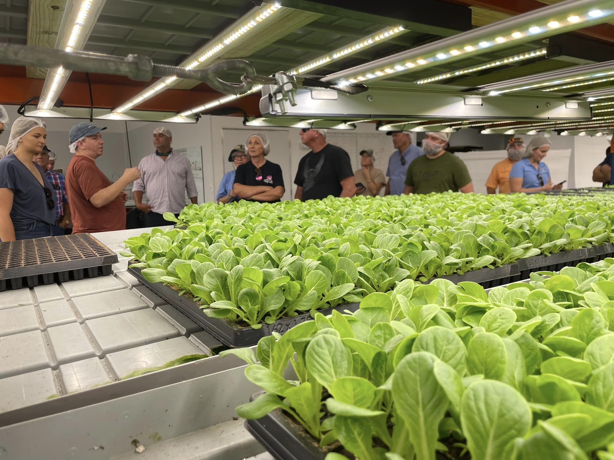 AFVGA Tour Visits Sites in Georgia, Florida - Specialty Crop Grower