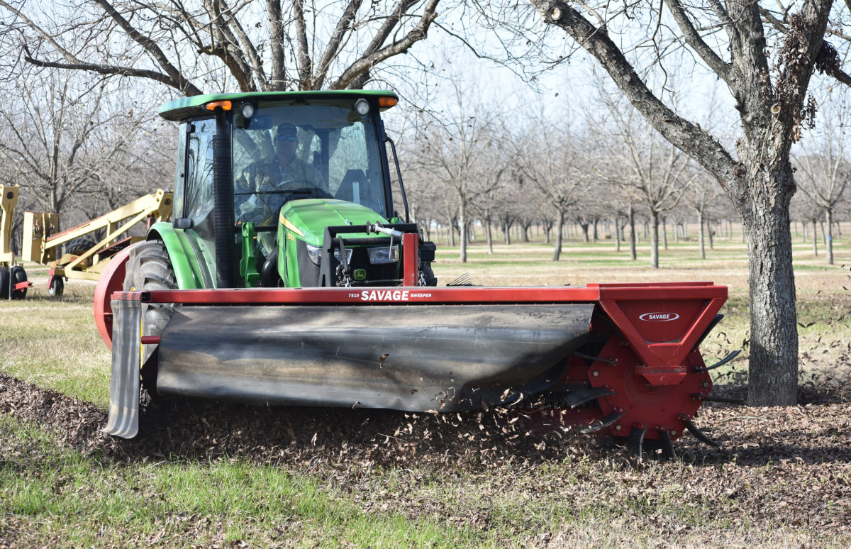 Heavy Scab Pressure Not Impactful on This Year's Pecan Crop - Specialty ...
