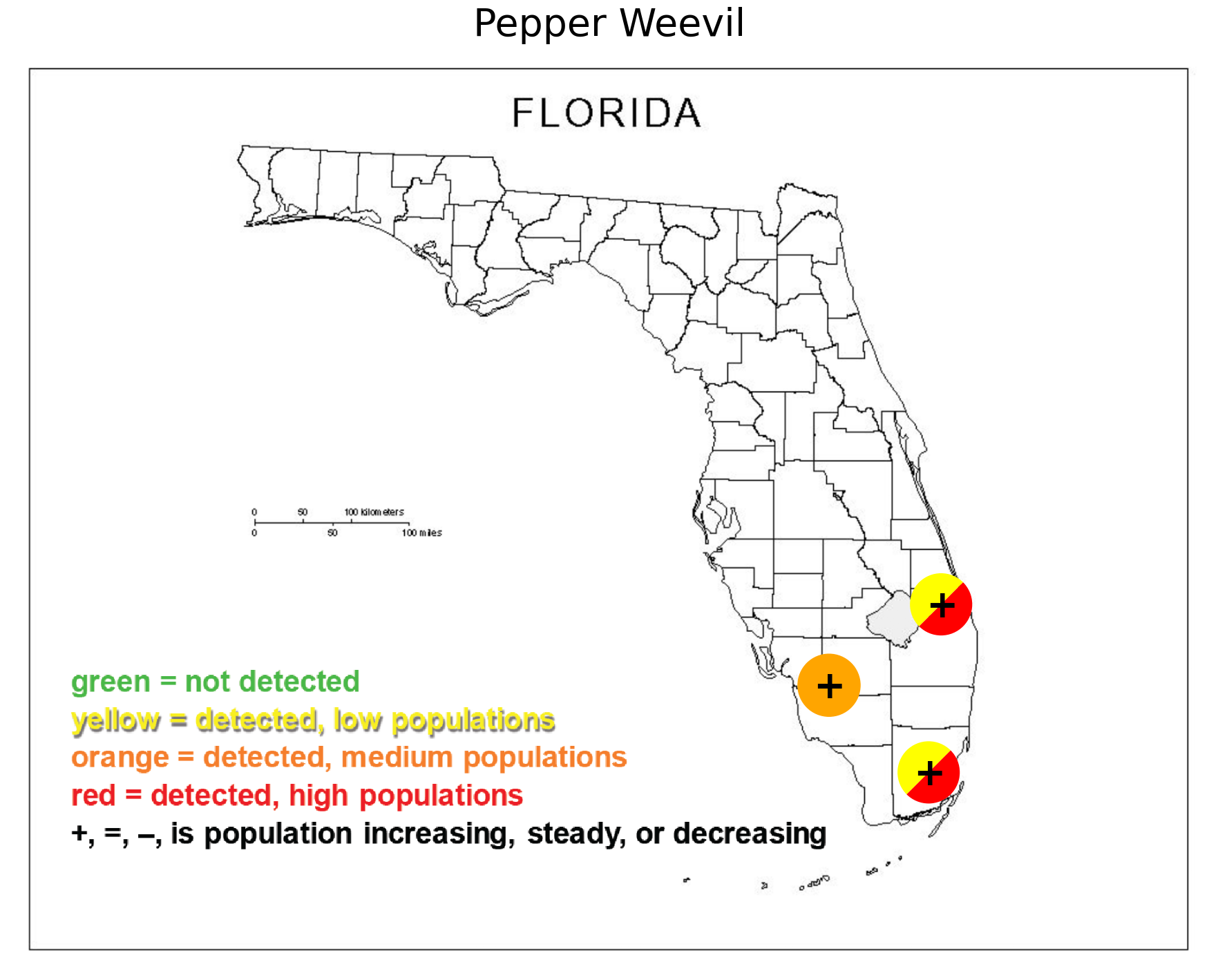 South Florida Pest and Disease Hotline: Pepper Weevil Populations ...