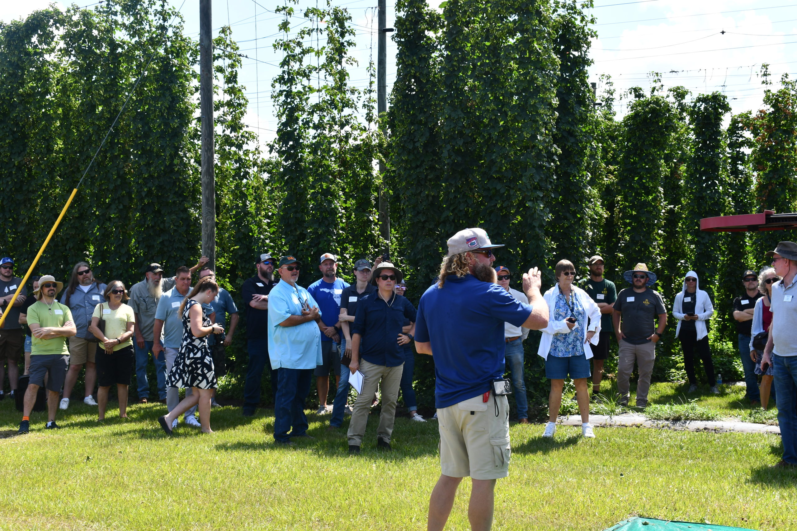 Figuring Out the Right Hops “Recipe” in Florida - Specialty Crop Grower