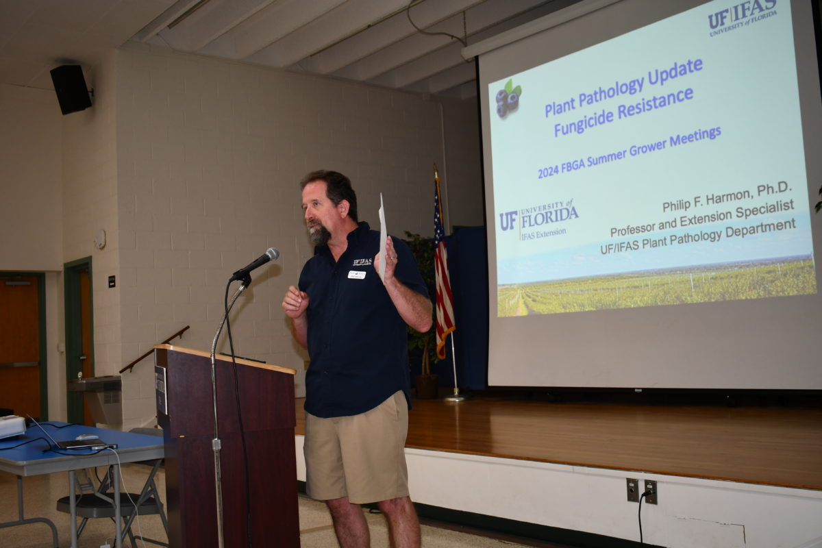 Summer Blueberry Meetings Tackle Disease Management in Florida