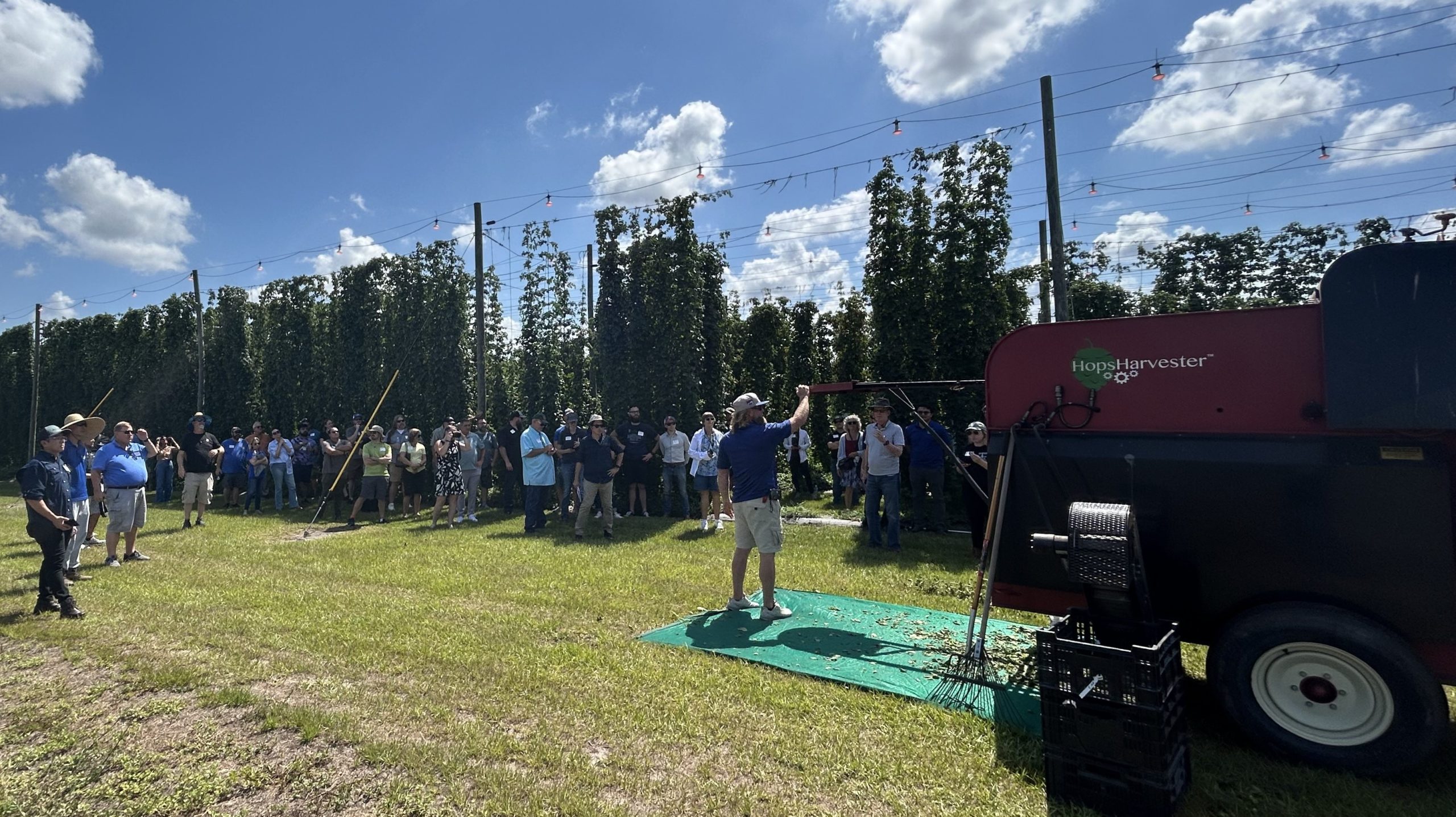 Specialty Crop Grower Magazine: Hop Production Progressing in Florida ...