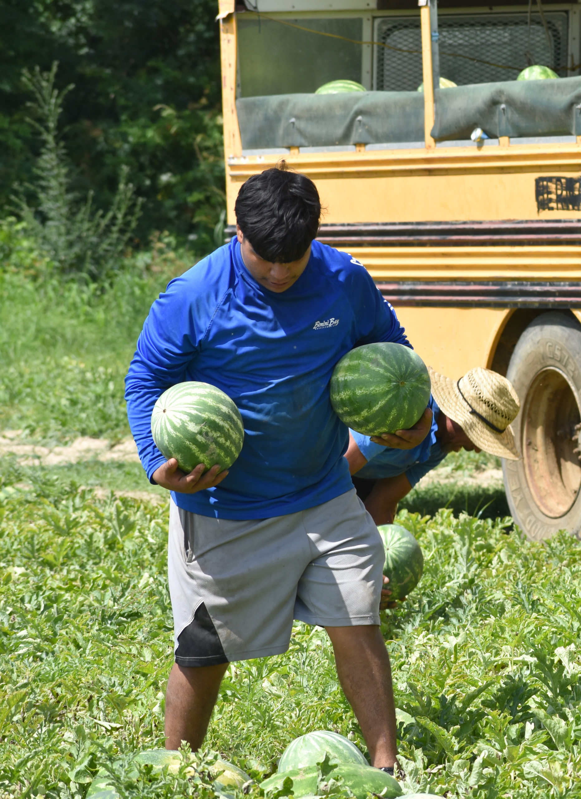 Victory for Users of H-2A Program - Specialty Crop Grower