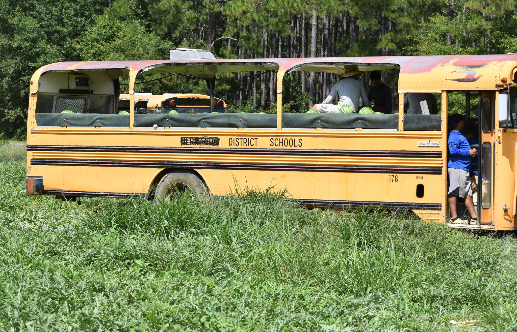 U.S. Department of Labor Suspending Enforcement of 2024 Farmworker Rule ...