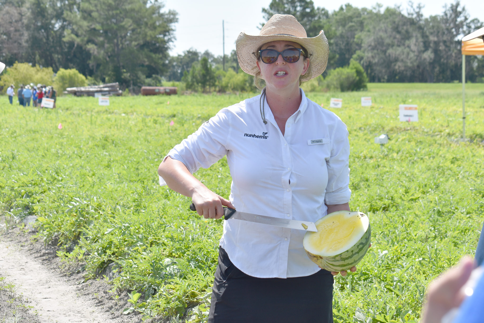 Disease Resistance in Watermelons Under the Research Spotlight ...