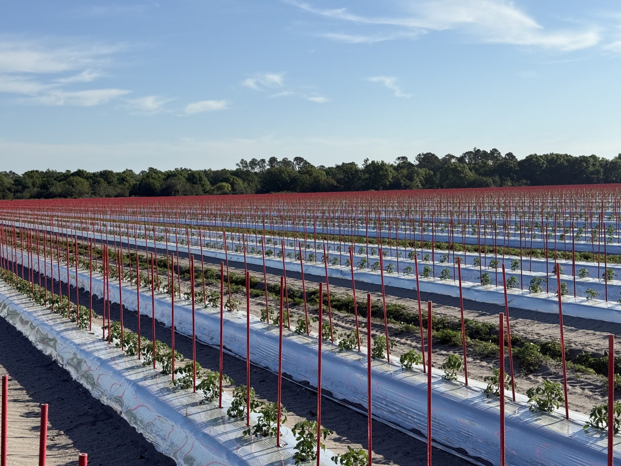 Specialty Crop Grower Magazine: Optimizing Key Production Tools in ...