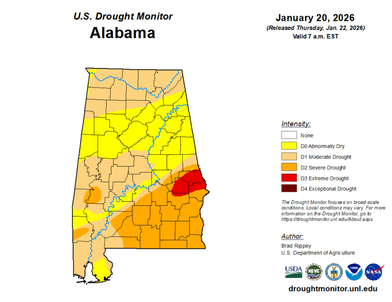 Lingering Drought Hurts Alabama Pecan Production - Specialty Crop Grower